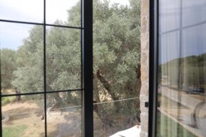 Mashtra, Ulcinj | Official Site – The Olive House